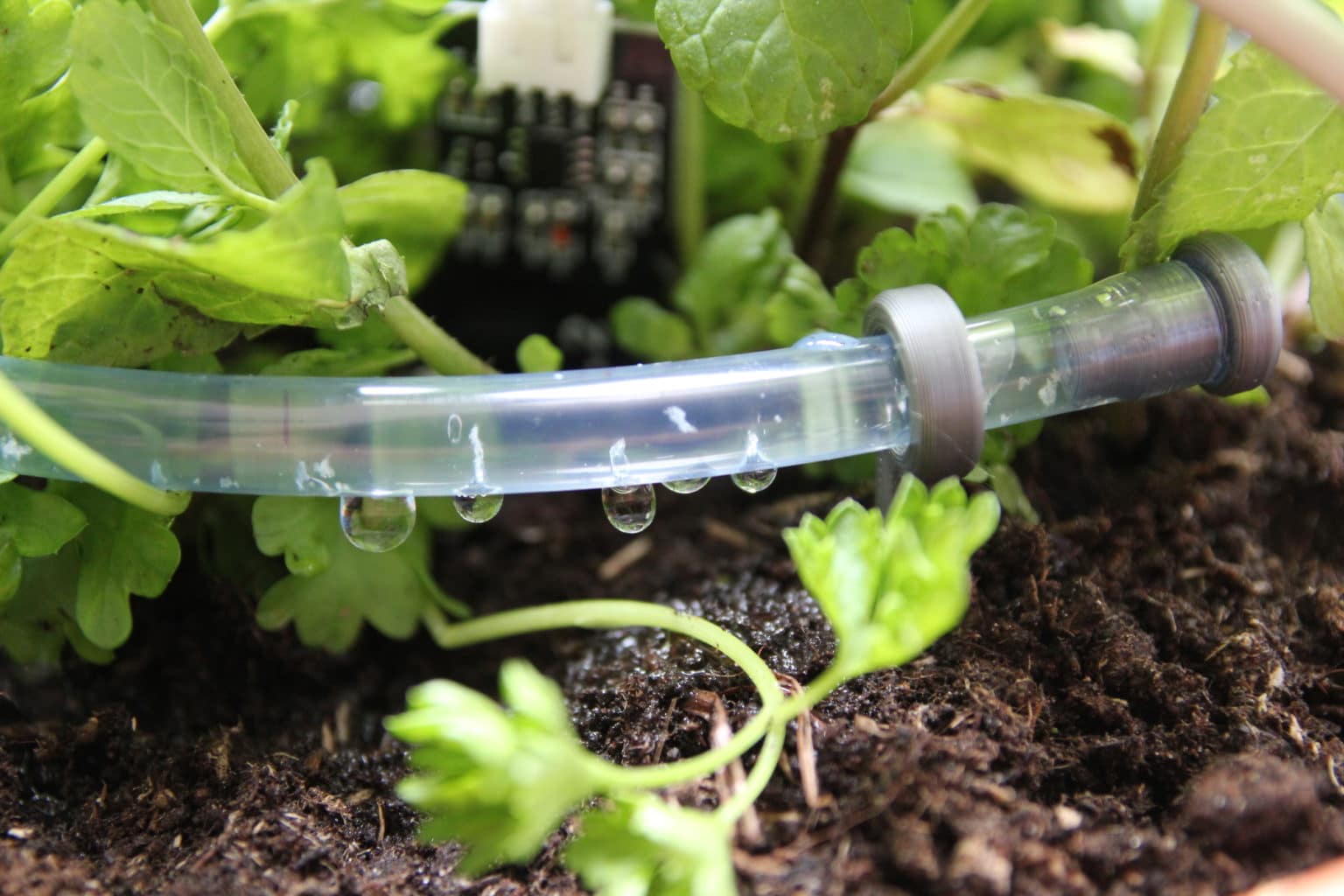 Automatic Plant Watering with Arduino IoT Cloud (with Pictures)